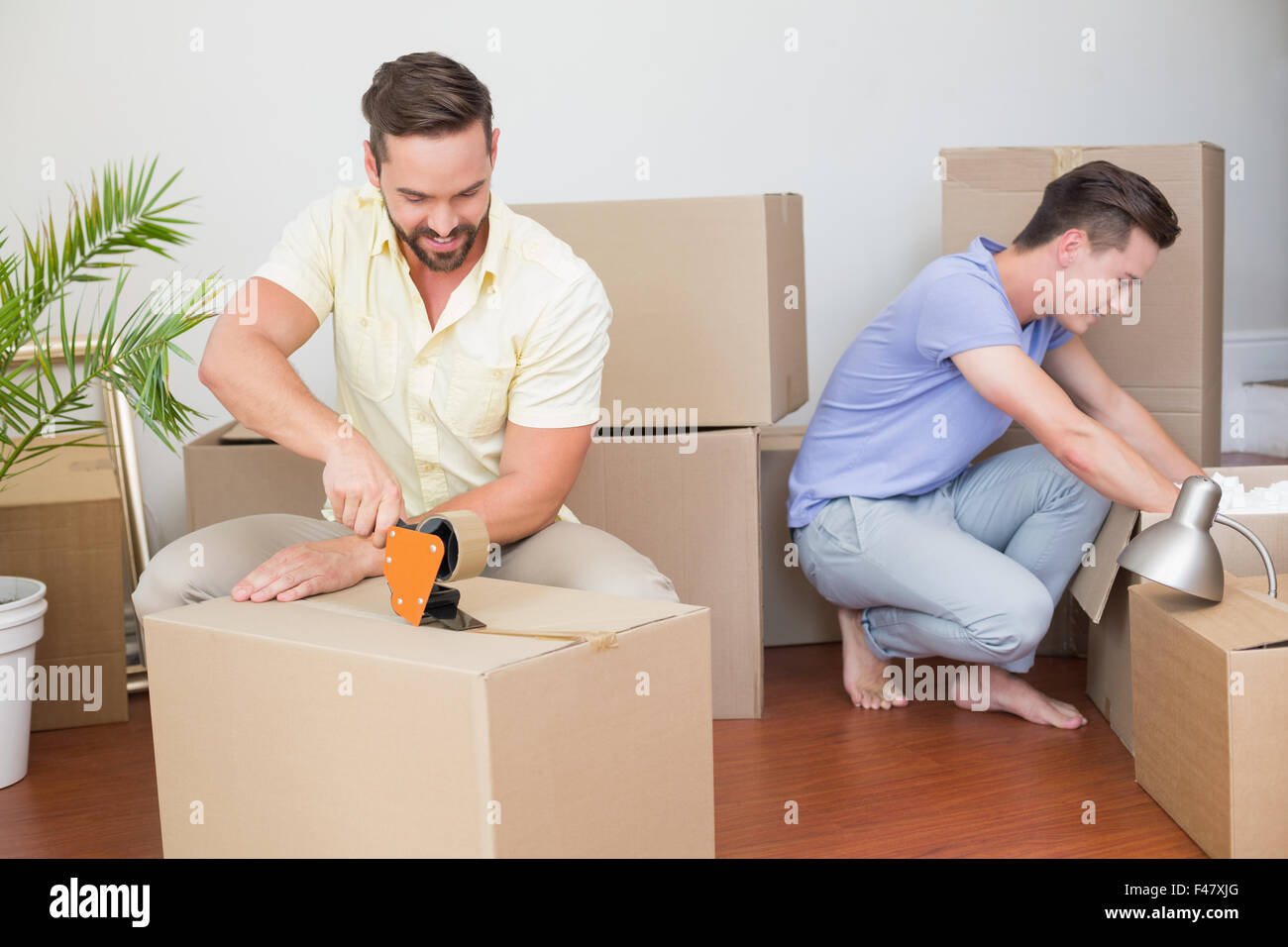 Handsome man packing box with his boyfriend behind Stock Photo - Alamy