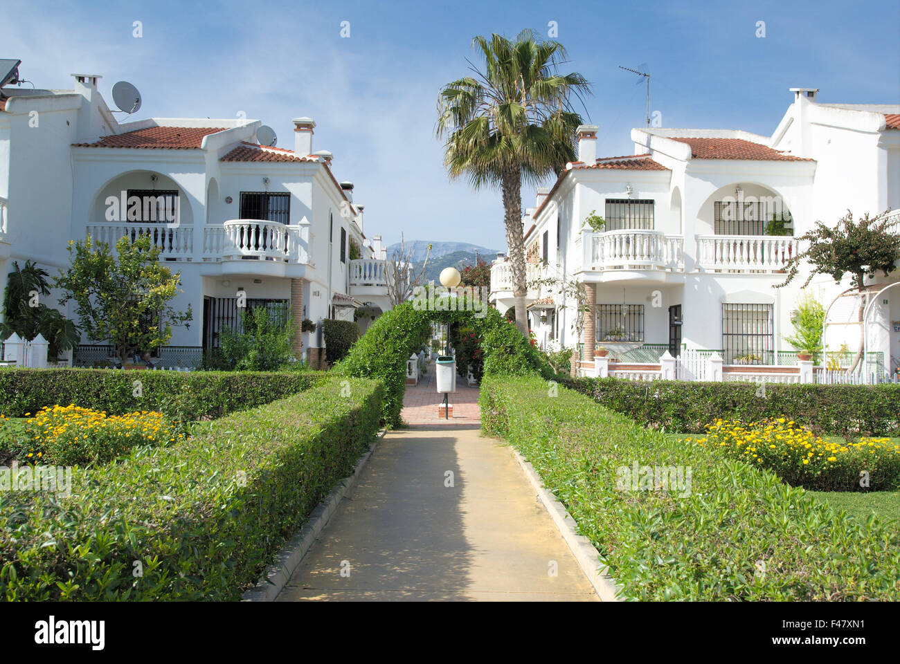 peacefull resort in southern spain featuring a palmtree Stock Photo - Alamy