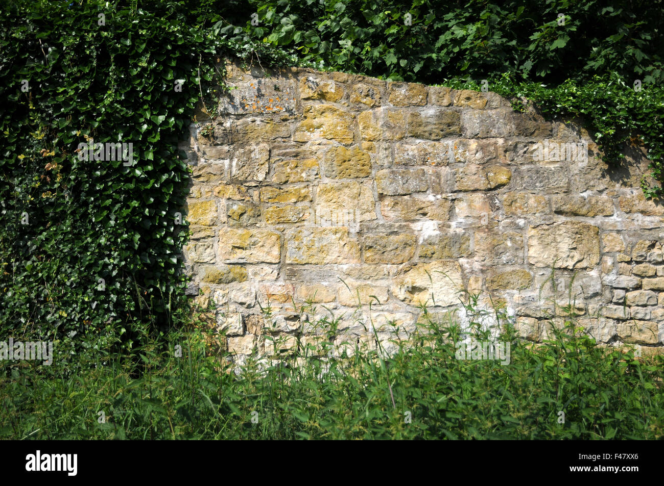 Lime stone hi-res stock photography and images - Alamy