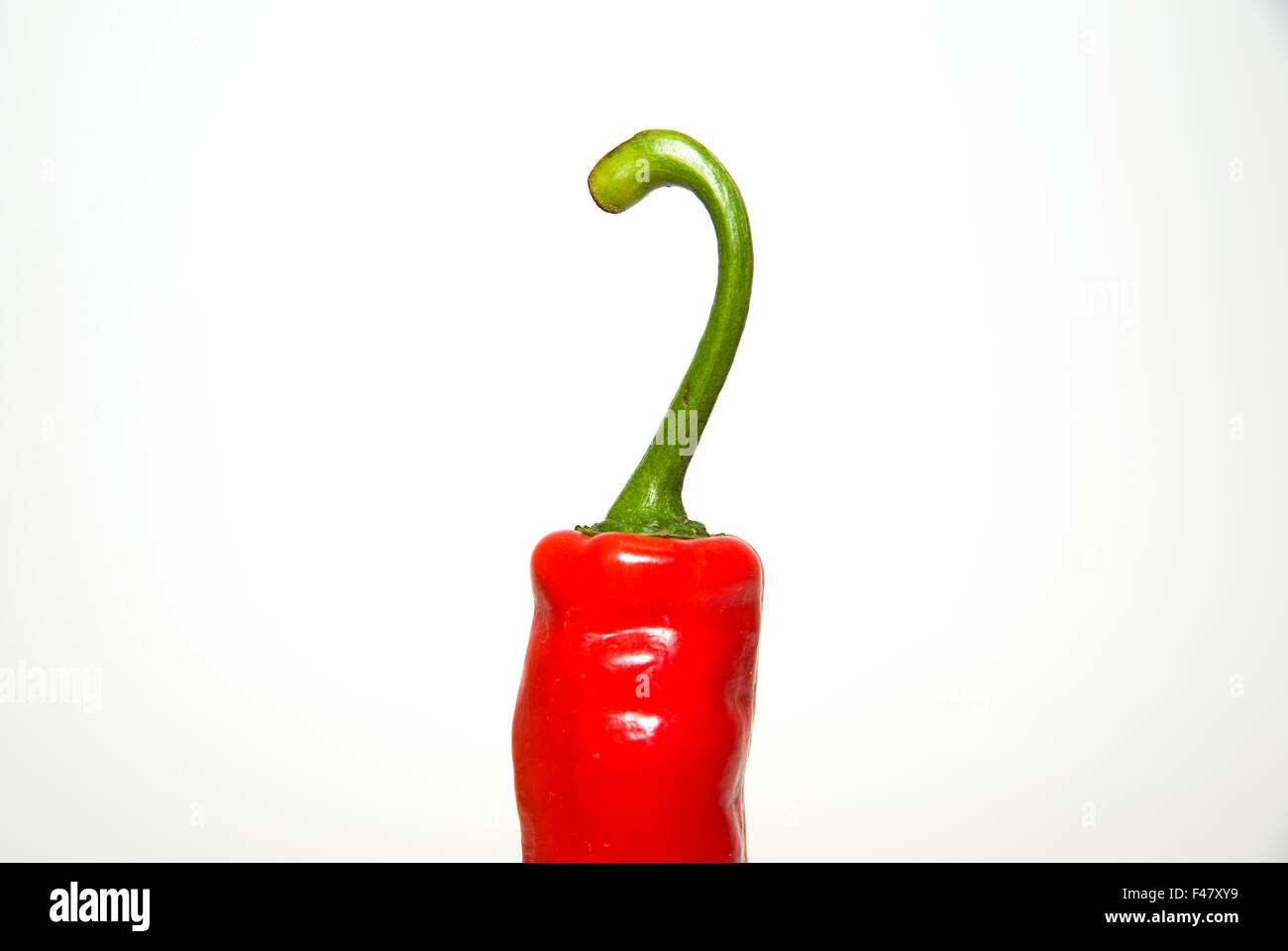 One red pepper on a white background Stock Photo - Alamy