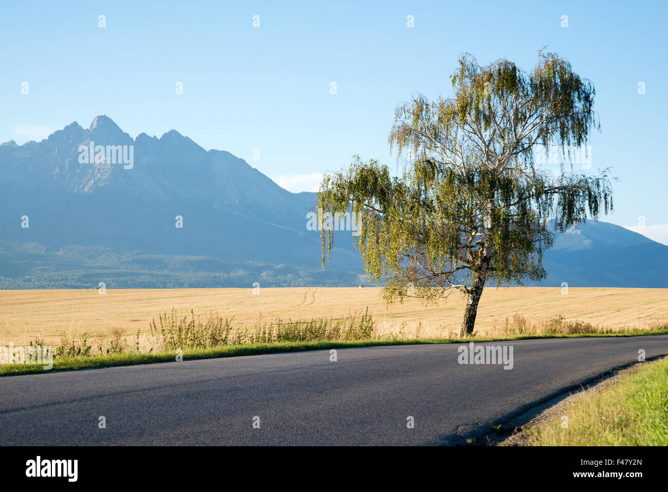 Asphalt road tatra mountains hi-res stock photography and images - Alamy