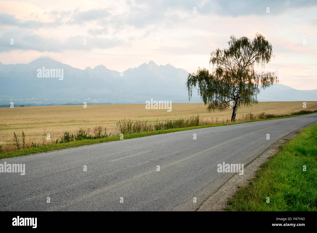 sunrise over a road to High Tatra mountains Stock Photo - Alamy