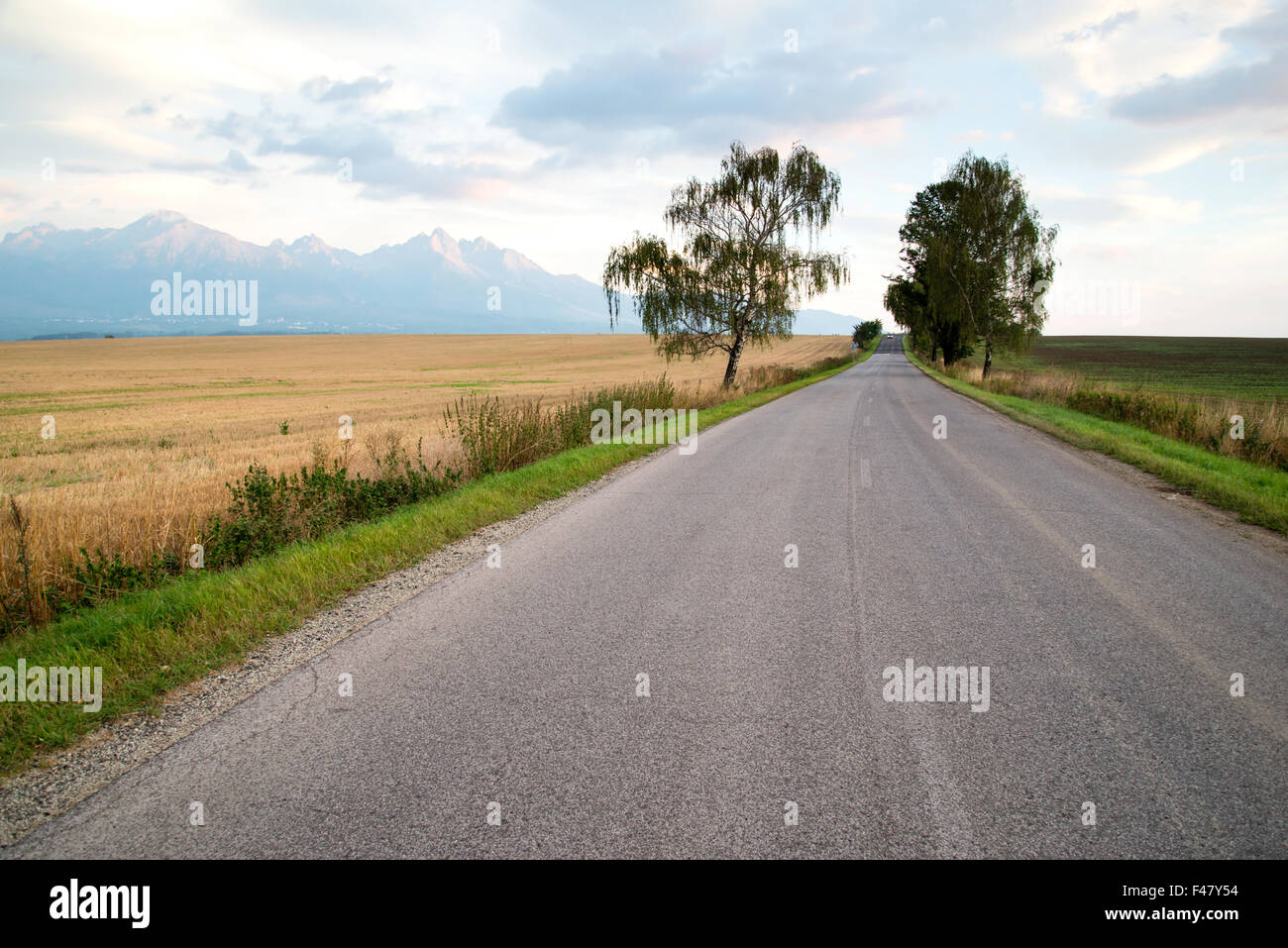 sunrise over a road to High Tatra mountains Stock Photo - Alamy