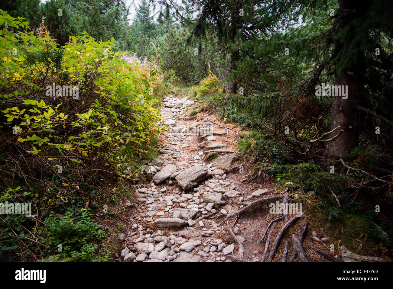 High tatra hi-res stock photography and images - Alamy