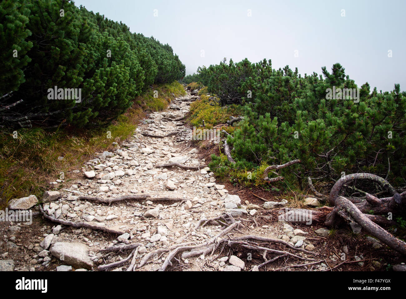 High tatra hi-res stock photography and images - Alamy
