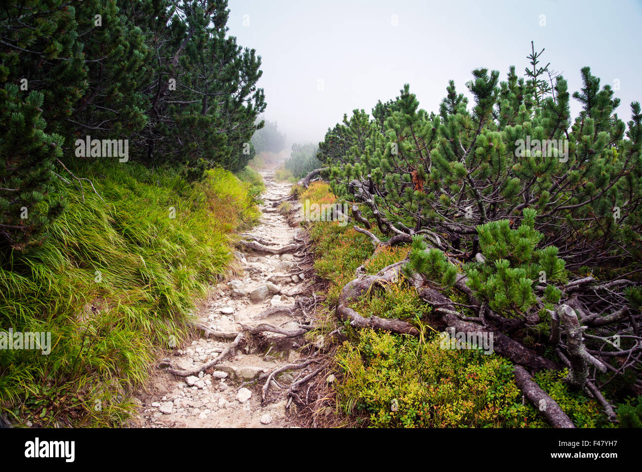 boulder road to High Tatra mountains Stock Photo - Alamy