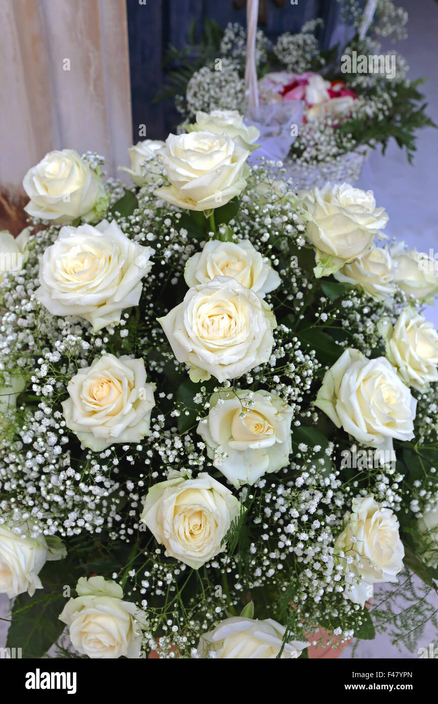 Roses white pot hi-res stock photography and images - Alamy