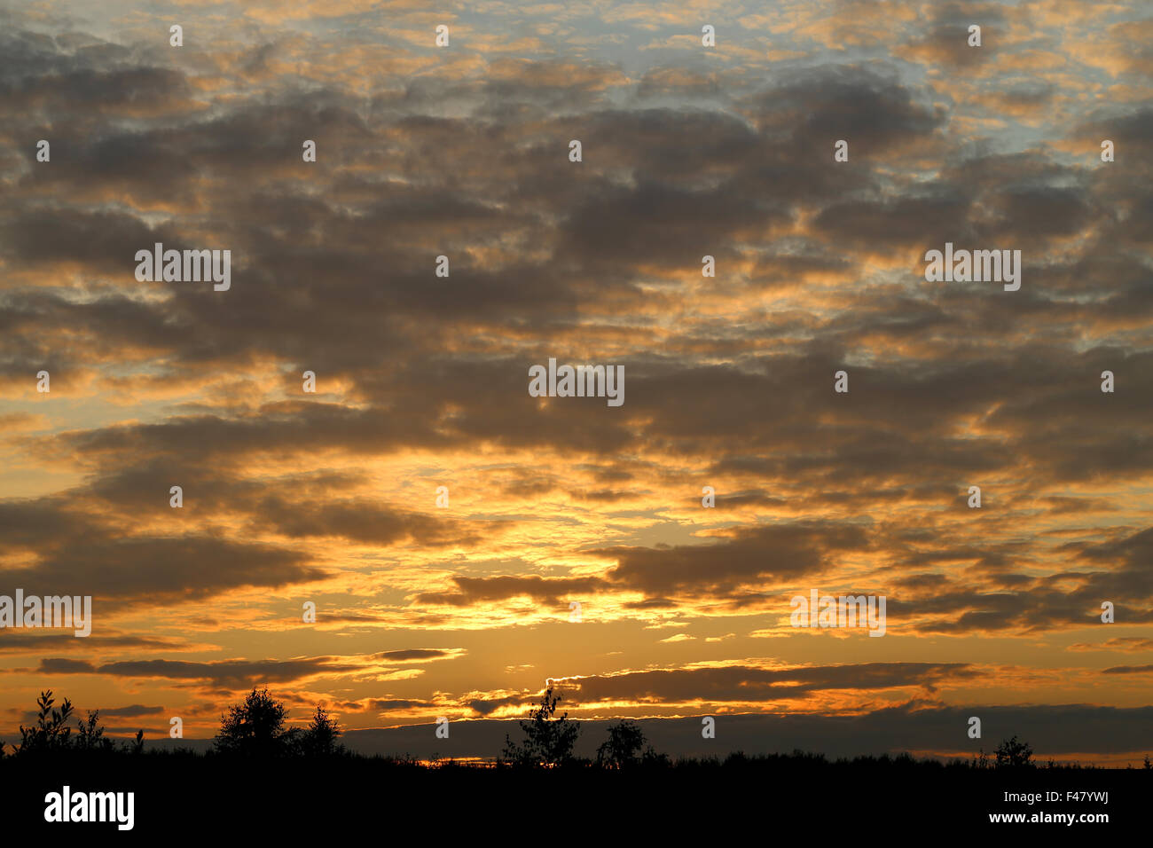 beautiful landscape with a sunset sky over the field Stock Photo - Alamy