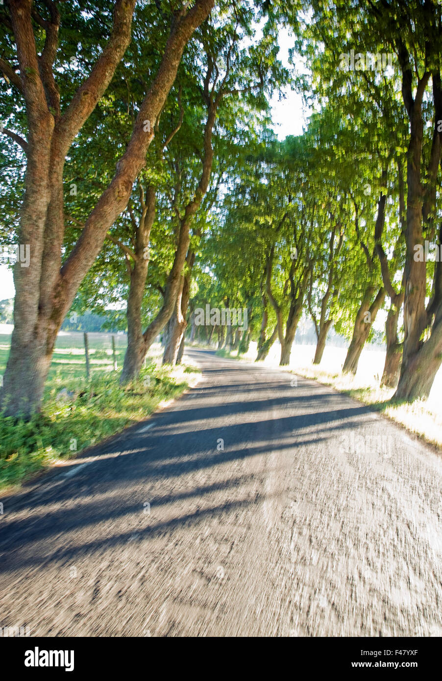 Slanted Road High Resolution Stock Photography and Images - Alamy
