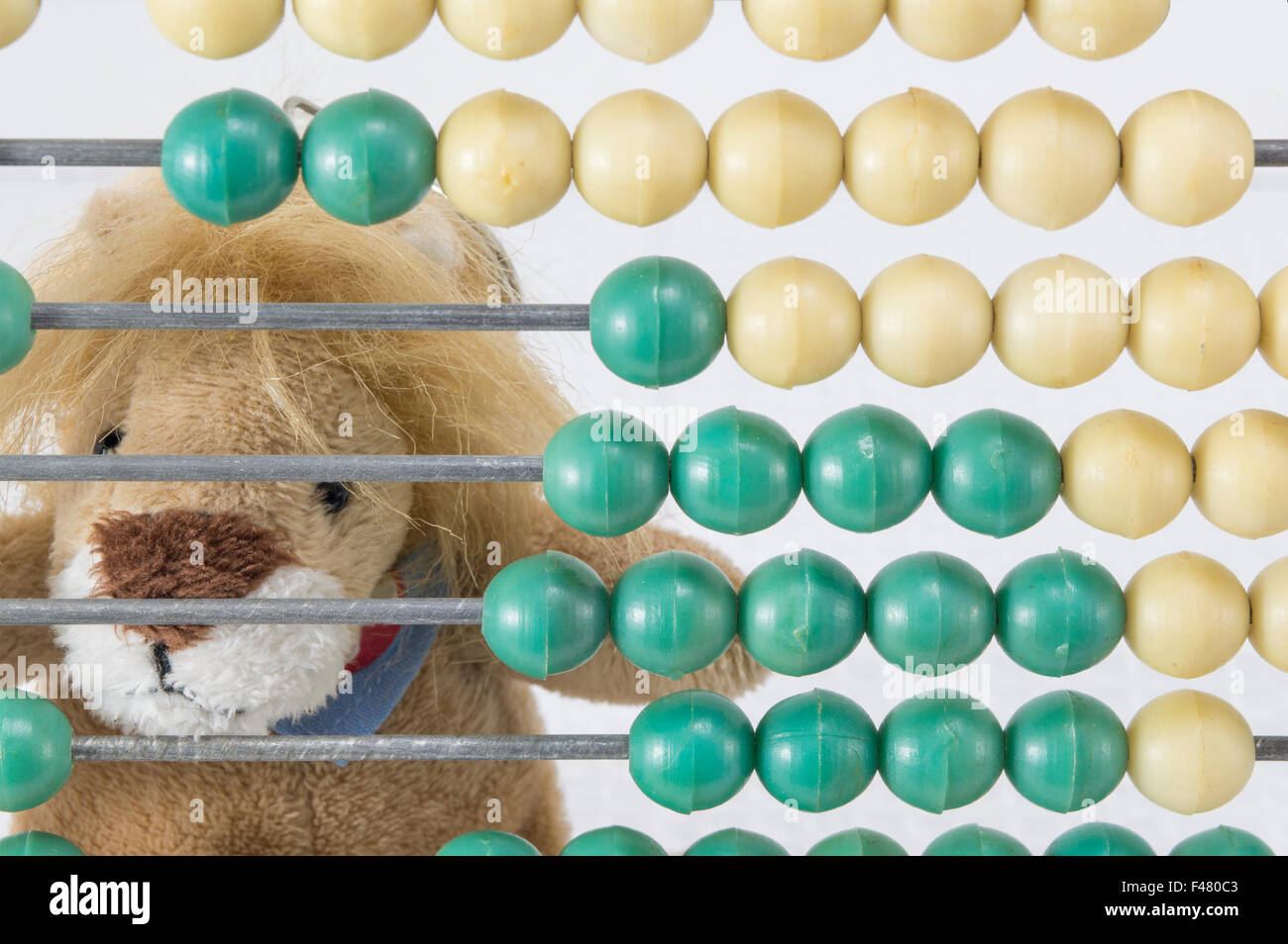 Math friend. Lion puppet and retro calculator Stock Photo - Alamy