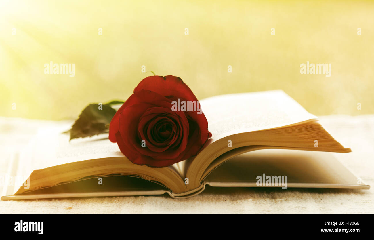 book with rose Stock Photo - Alamy