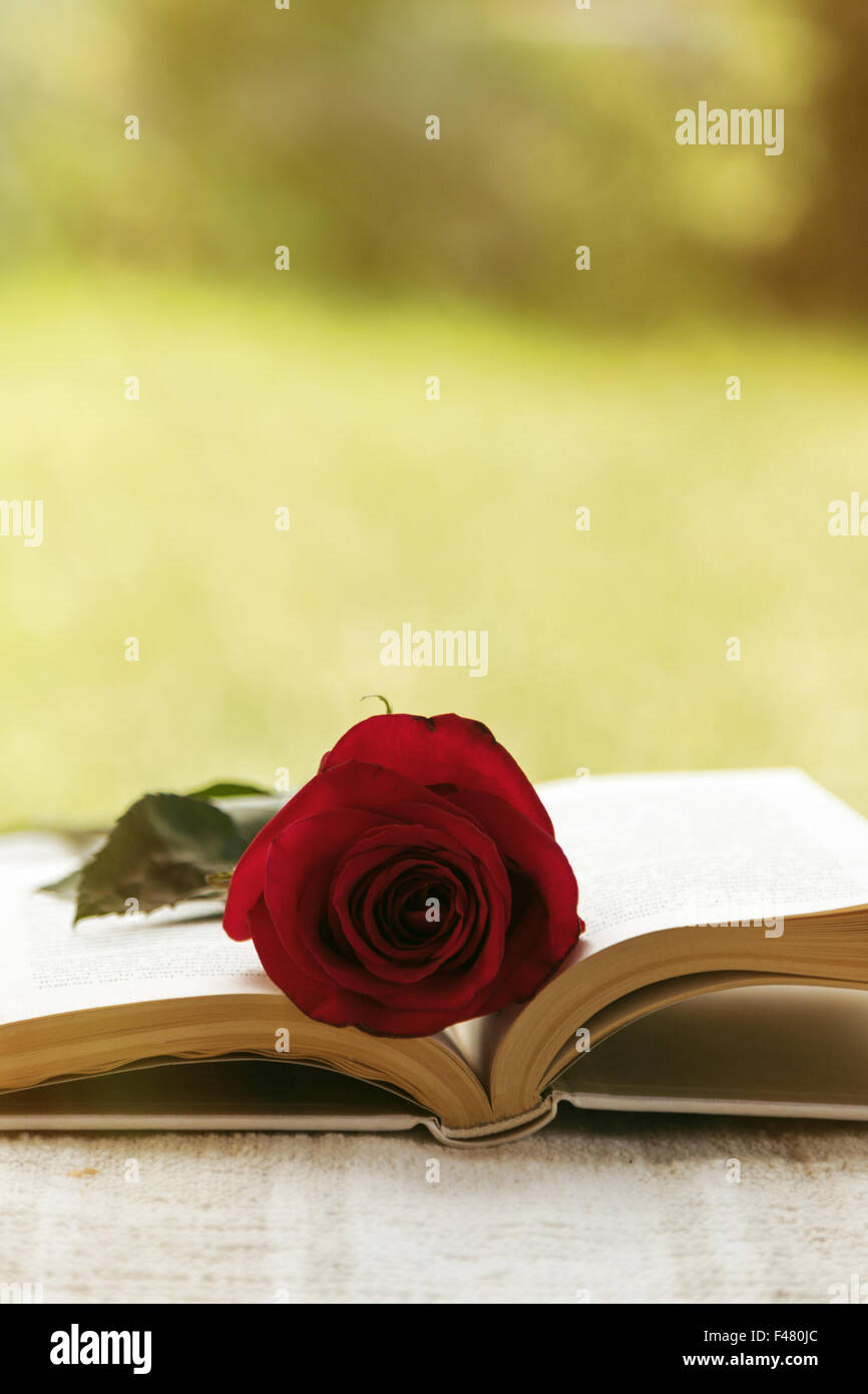 book with rose Stock Photo - Alamy