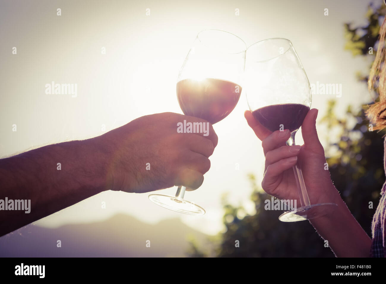 Couple toasting with red wine Stock Photo - Alamy