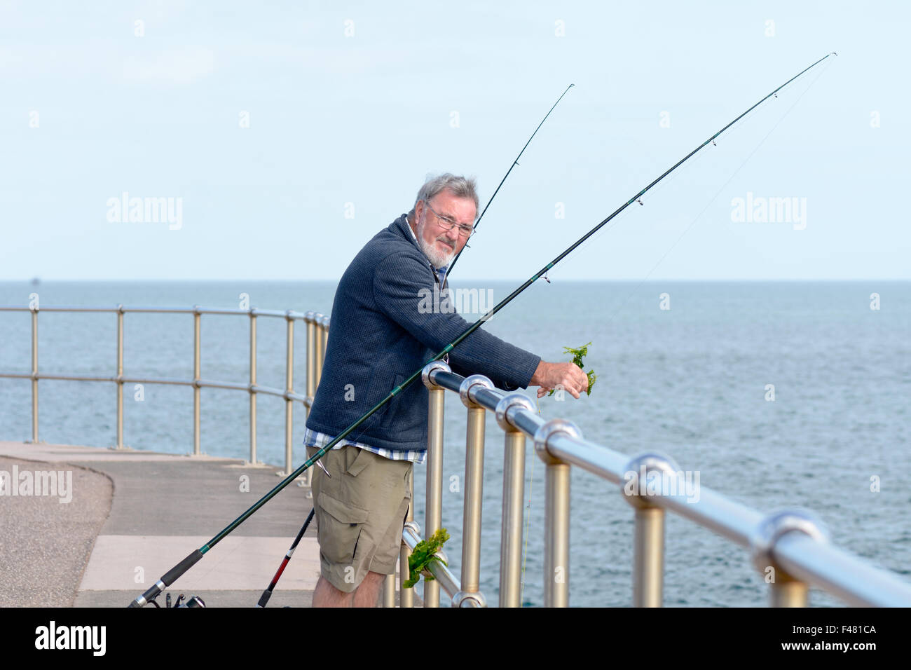 Weed hook hi-res stock photography and images - Alamy