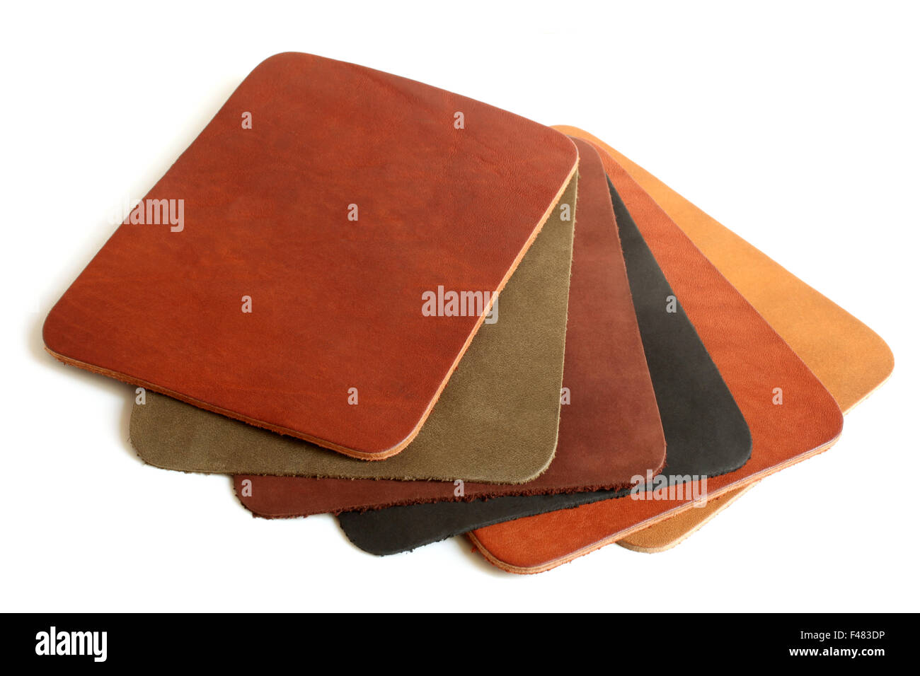 Variegated skin hi-res stock photography and images - Alamy