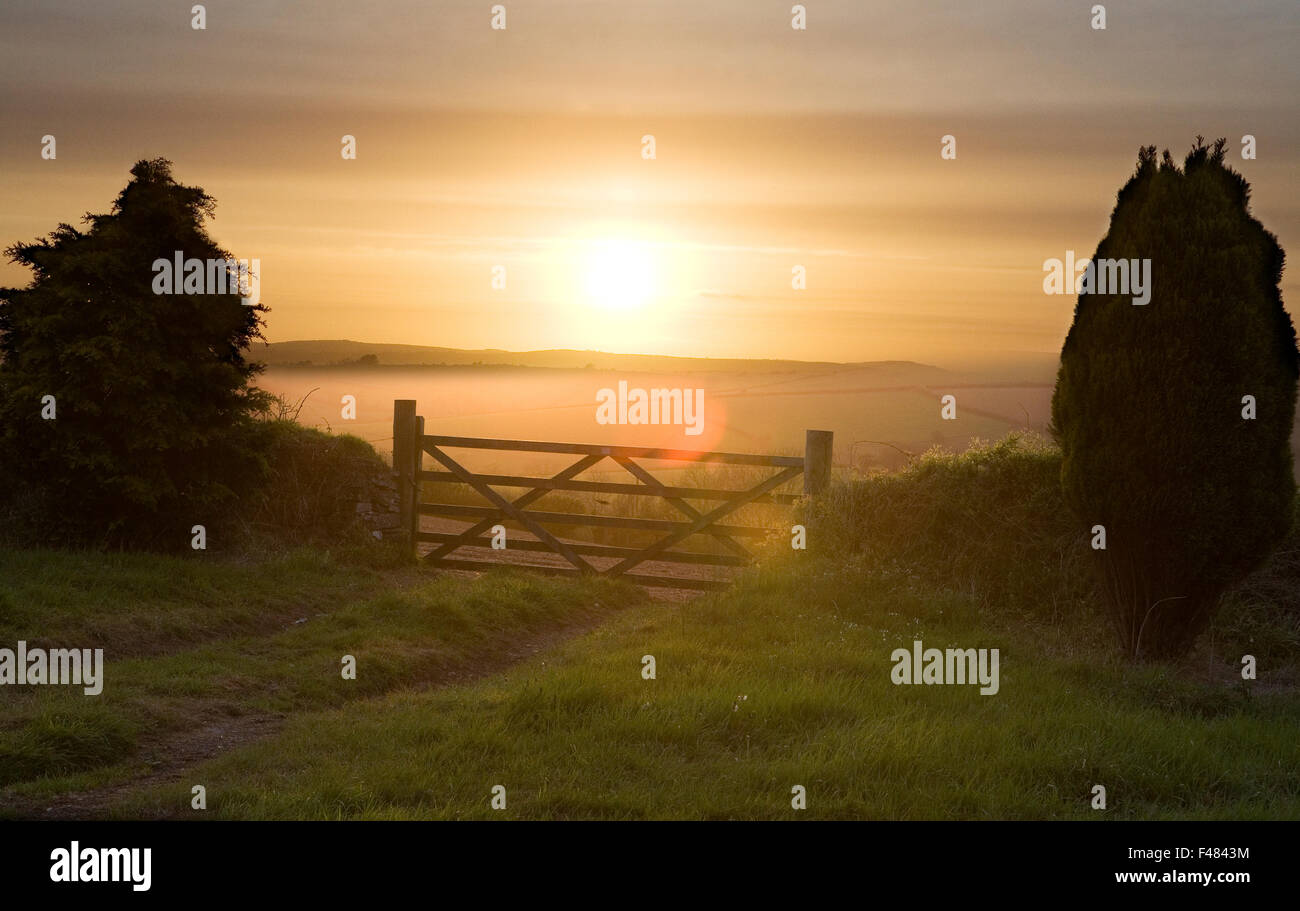 Sunset and fields, Cornwall, England, Great Britain Stock Photo - Alamy