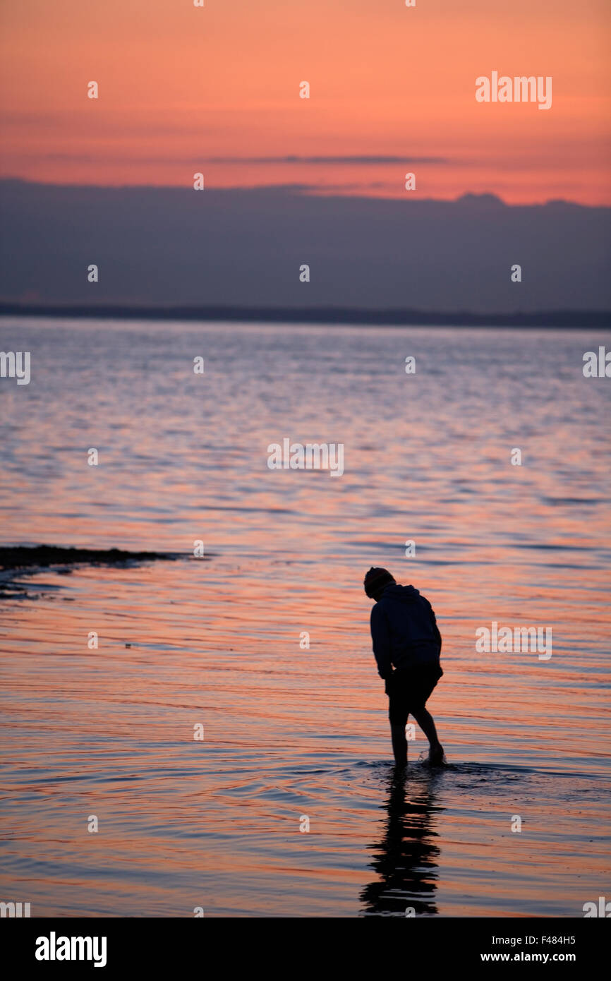A teenage boy wading in the ocean, Skane, Sweden Stock Photo - Alamy
