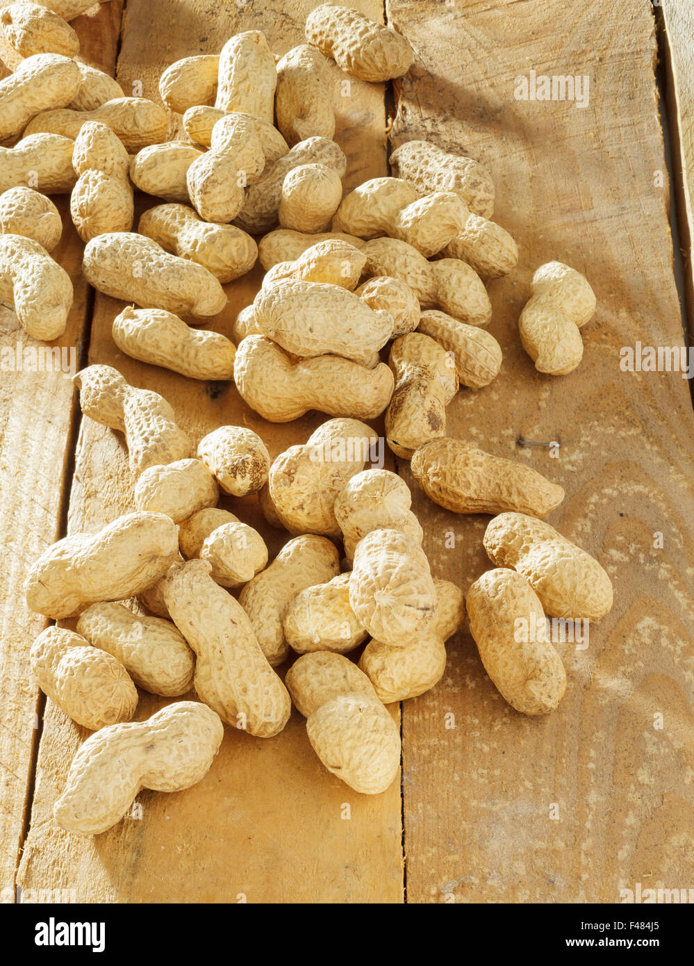 Peanut Shell Stock Photos & Peanut Shell Stock Images - Alamy