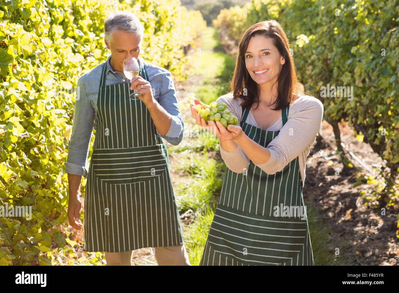Portrait female vintner holding hi-res stock photography and images - Alamy