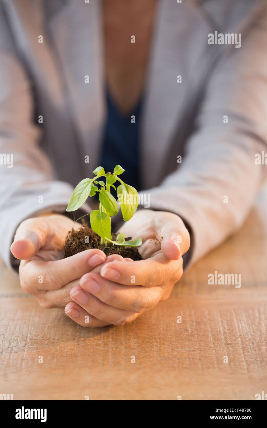 Close up of hands holding young plant Stock Photo - Alamy