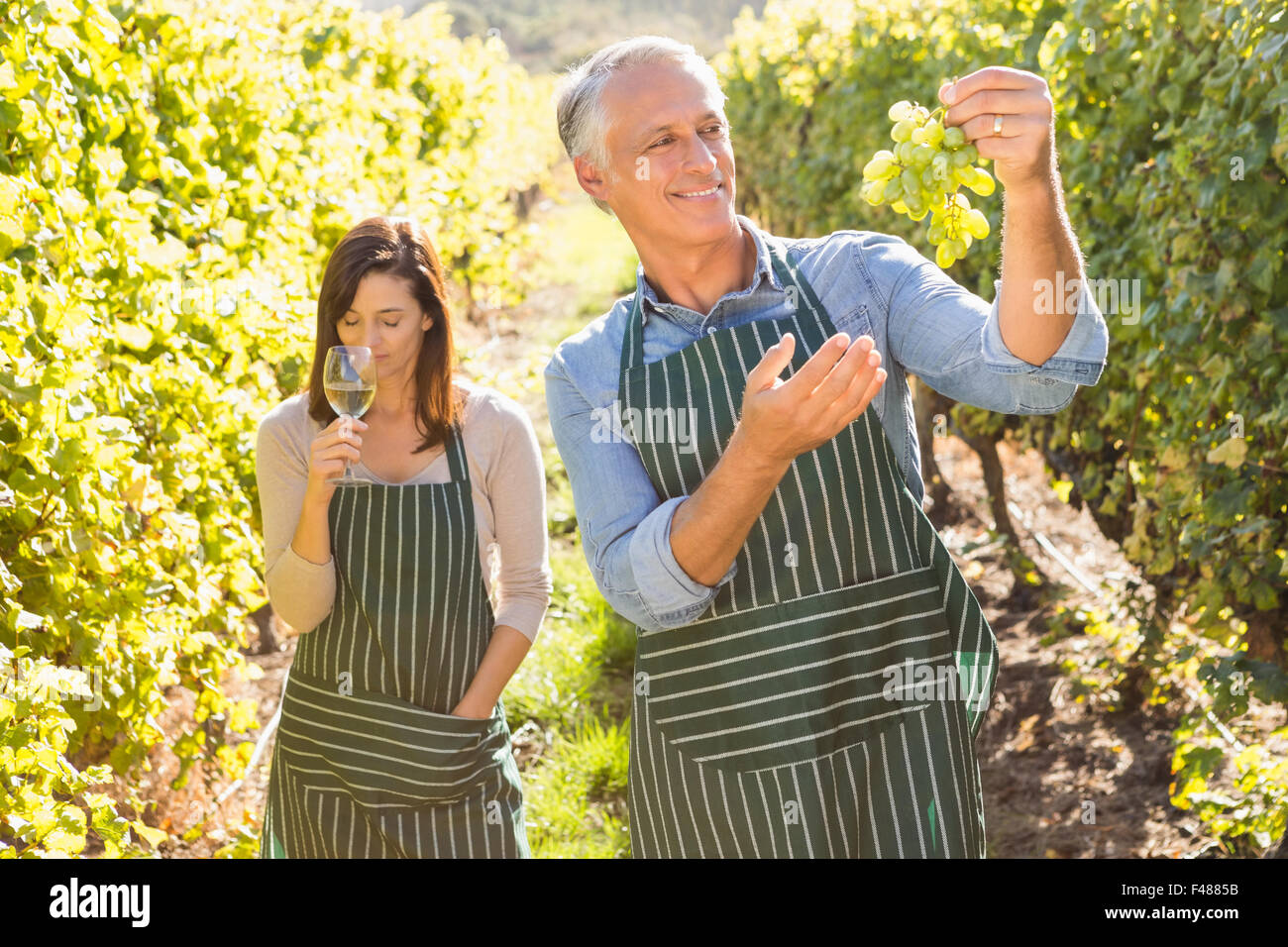 Vintners with white wine glass and bunch of grapes Stock Photo - Alamy