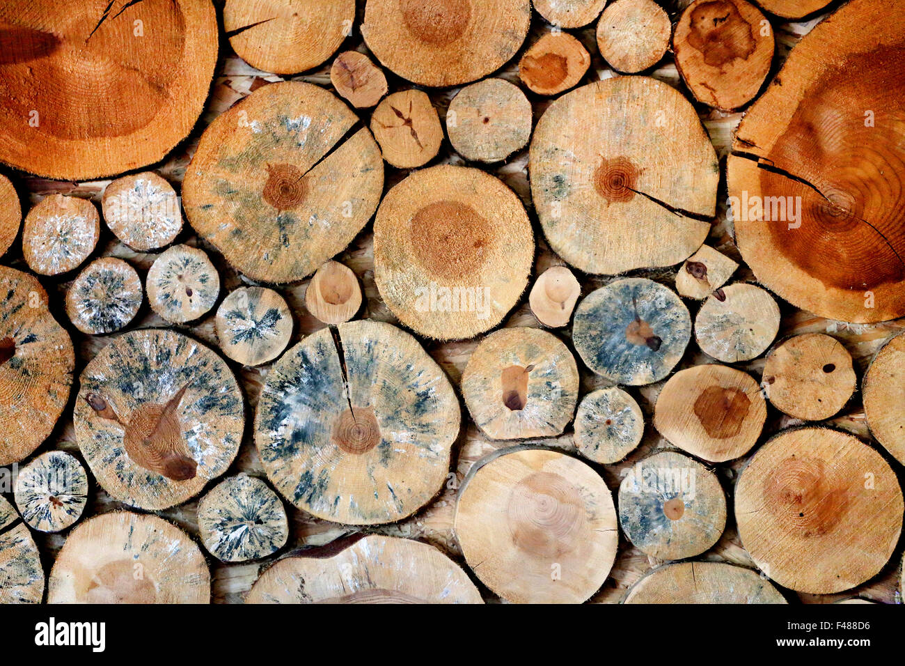 The texture of the wooden round pieces Stock Photo - Alamy