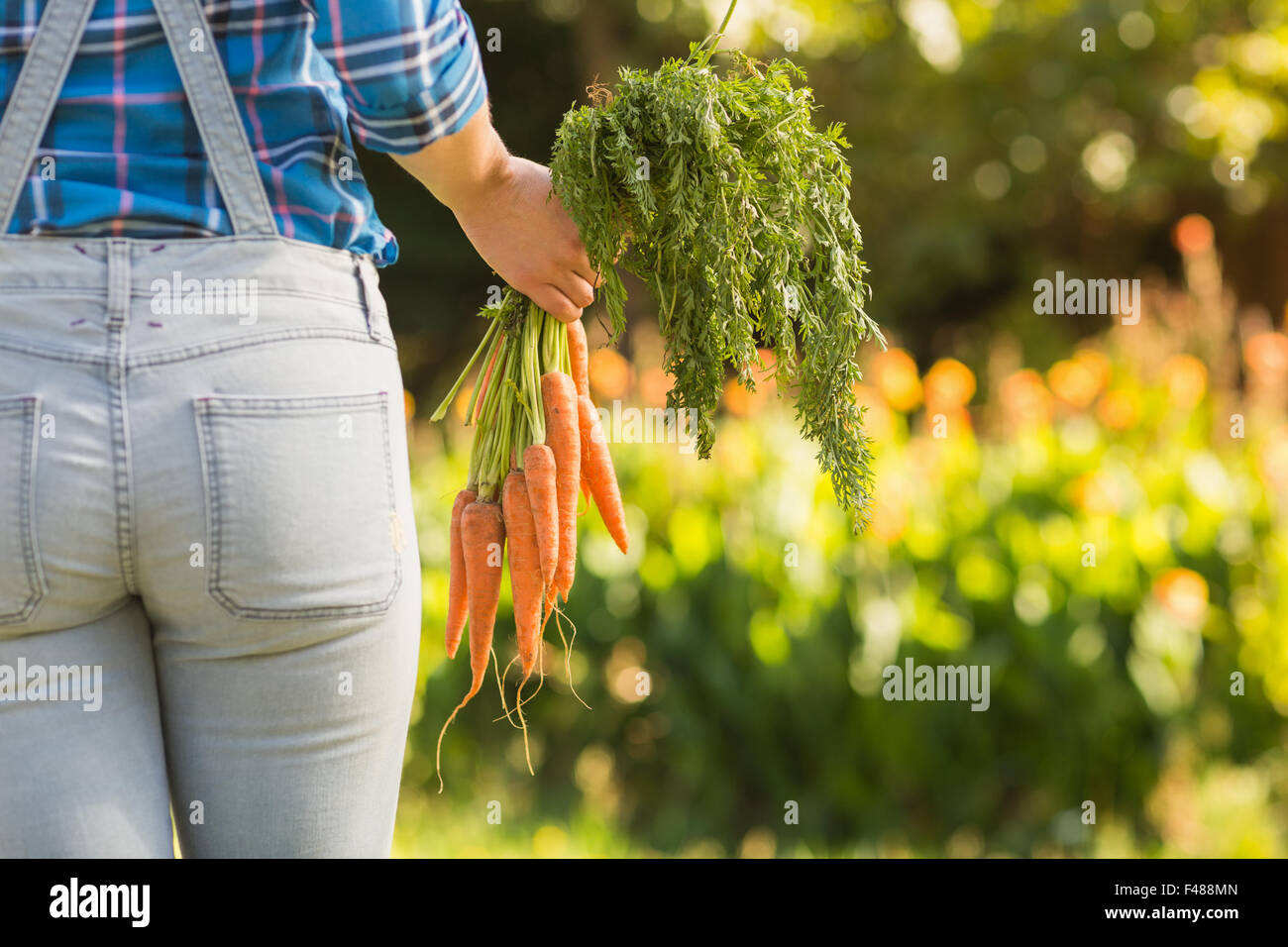 Rear view of woman holding bunch of organic carrots Stock Photo - Alamy
