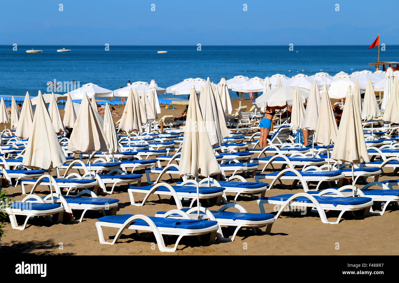 Sea beds hi-res stock photography and images - Alamy