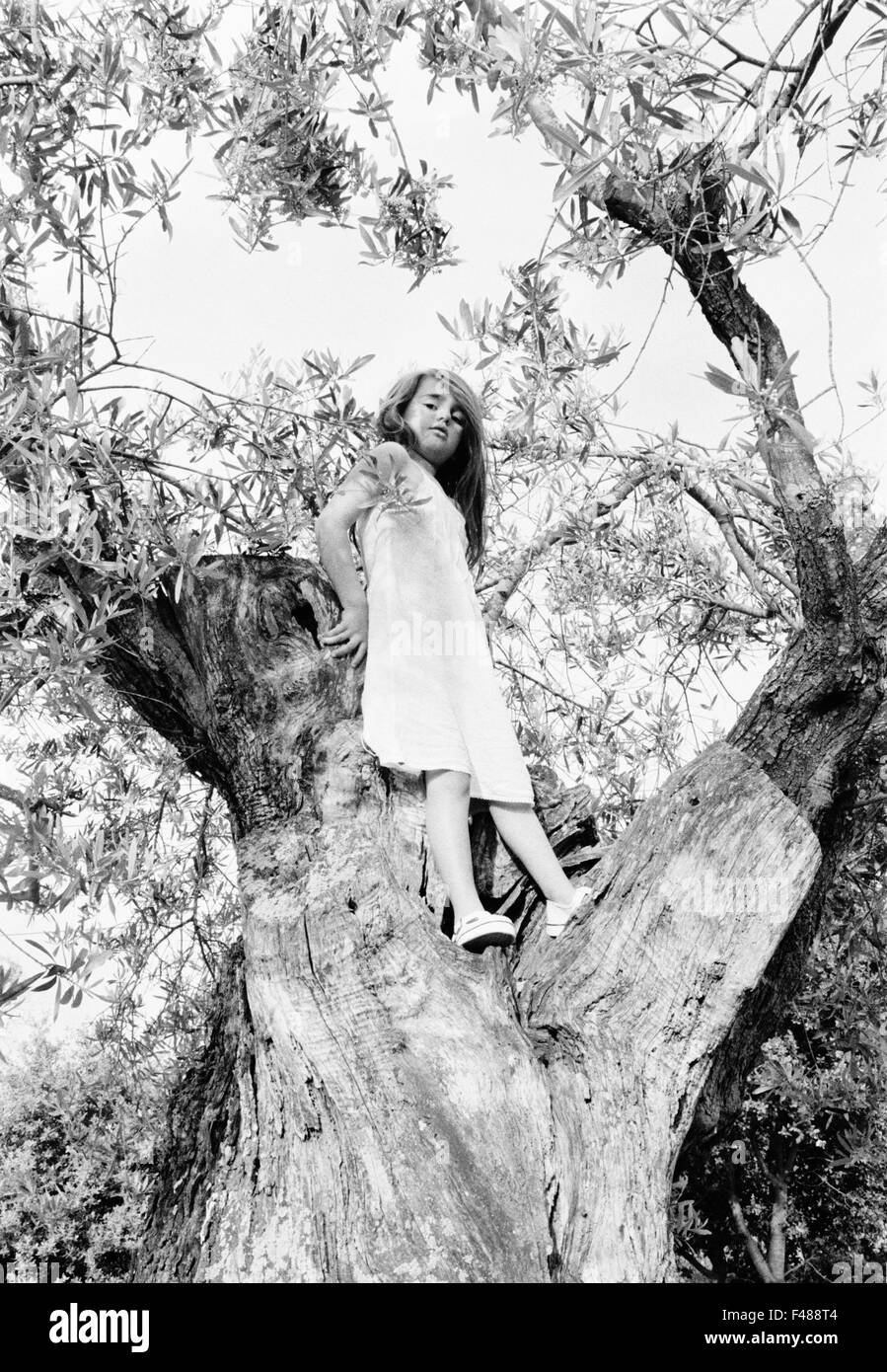 Girl Climbing Tree In Dress