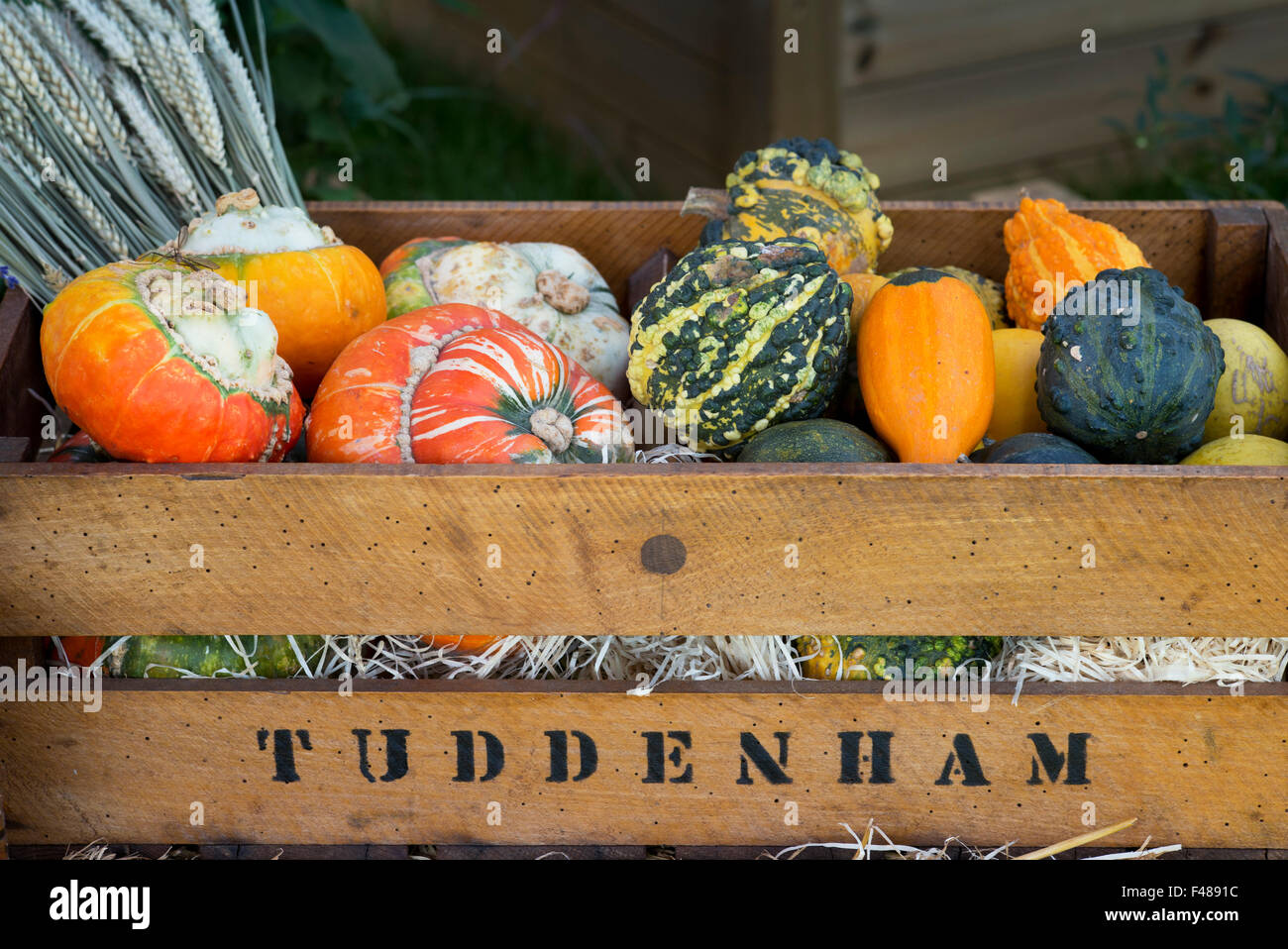 Rustic vegetable display hi-res stock photography and images - Alamy