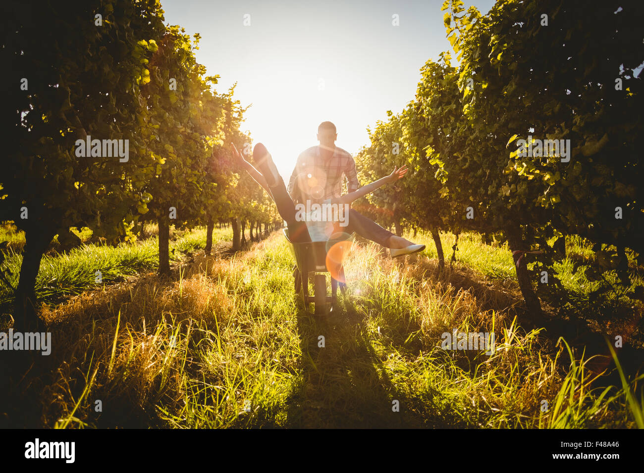 Happy couple playing with a wheelbarrow between grapevine Stock Photo ...