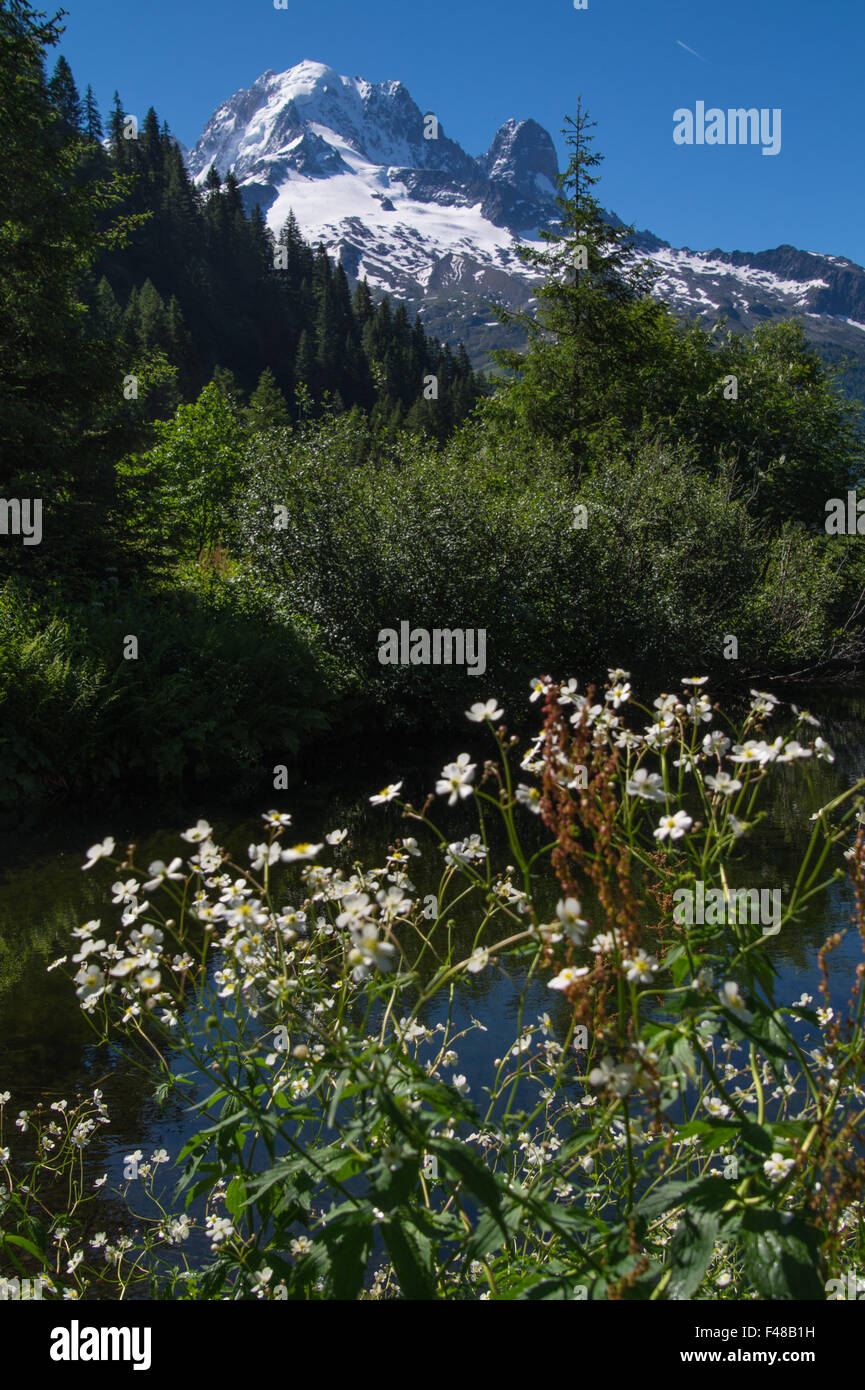 col des montets,chamonix,haute savoie,france Stock Photo - Alamy
