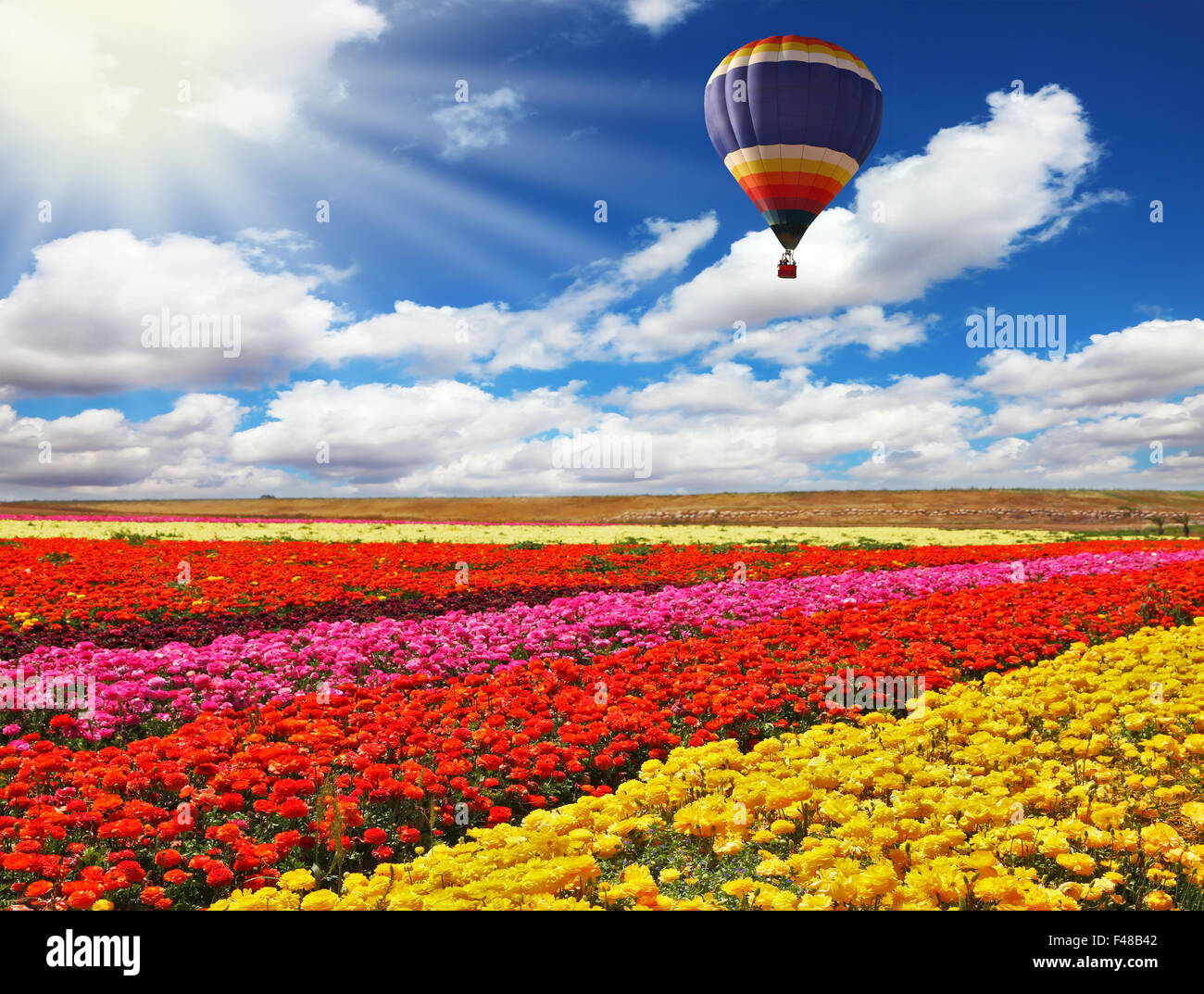 Big balloon flies Stock Photo - Alamy