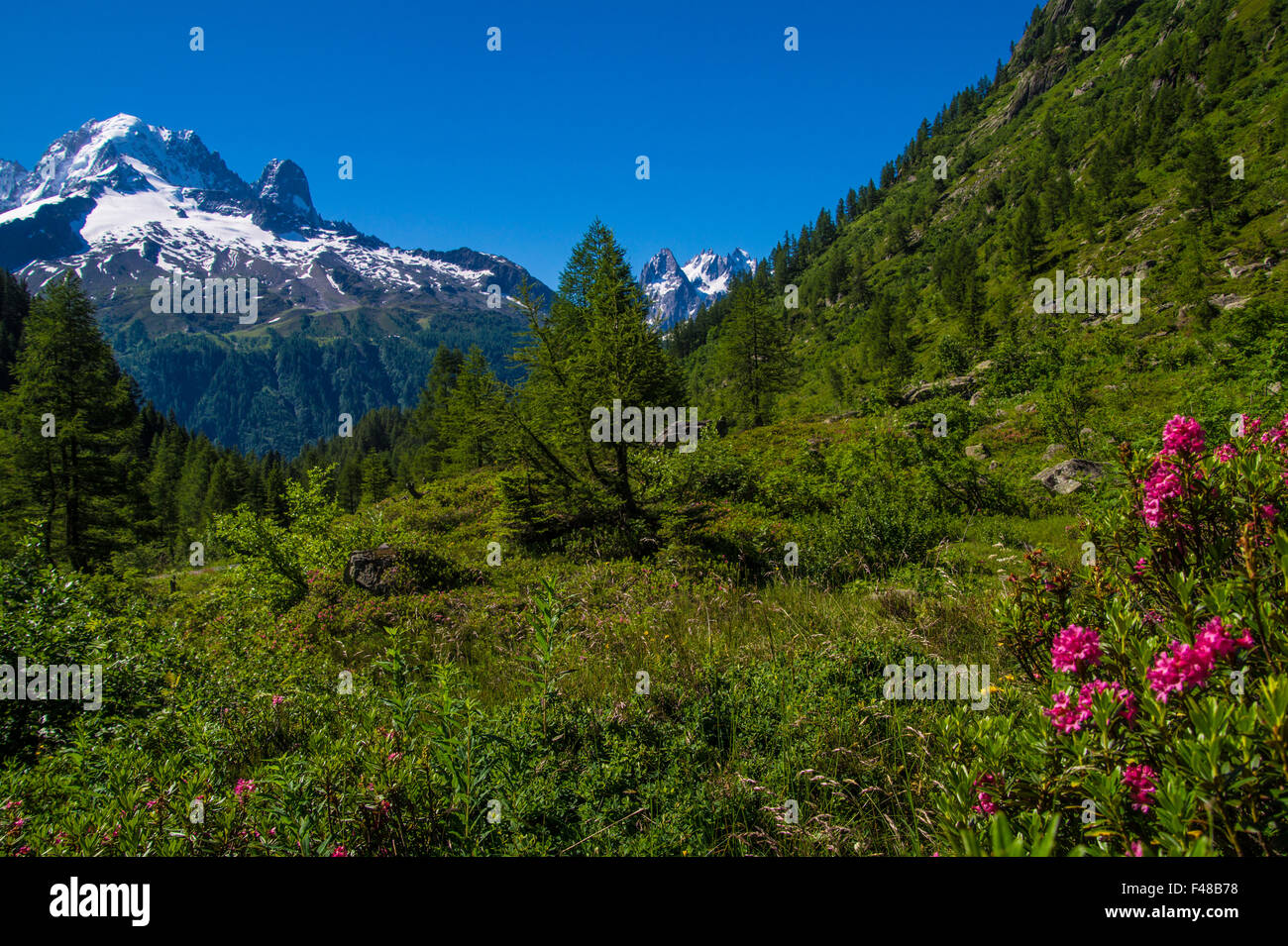 col des montets,chamonix,haute savoie,france Stock Photo - Alamy