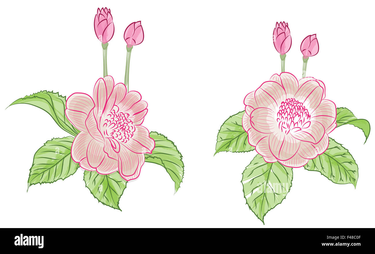 Hand drawn flowers design Stock Photo - Alamy