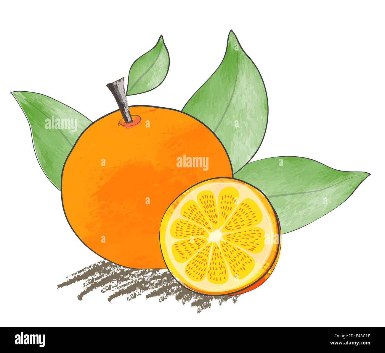 Orange hand drawn Stock Photo - Alamy