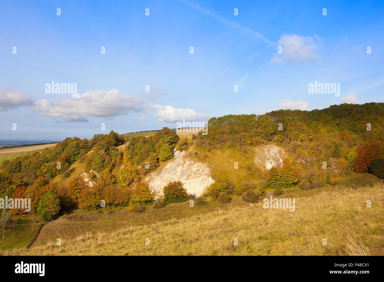 Chalk outcrops hi-res stock photography and images - Alamy