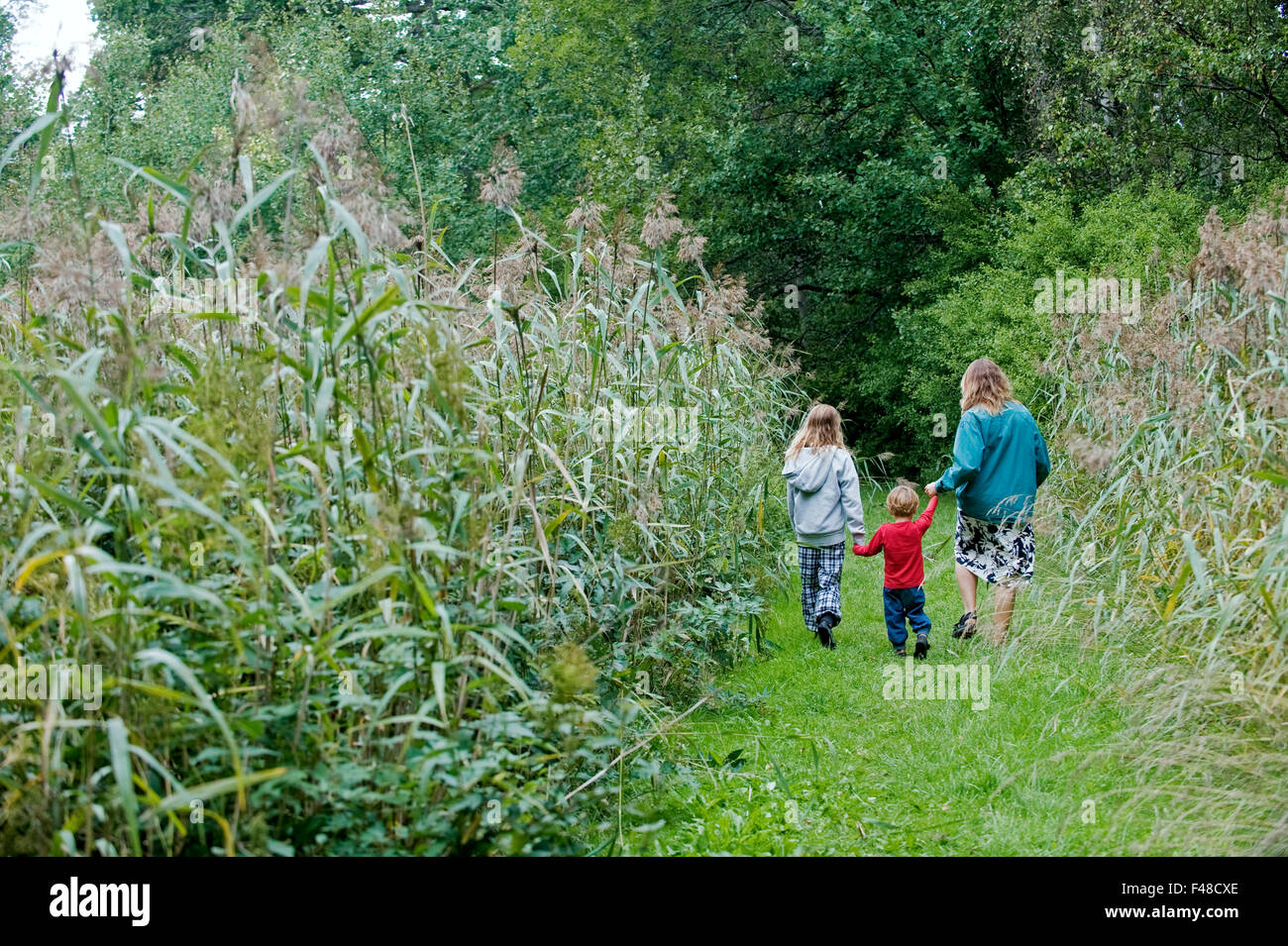 Woman and two children walking on a footpath, Sweden Stock Photo - Alamy