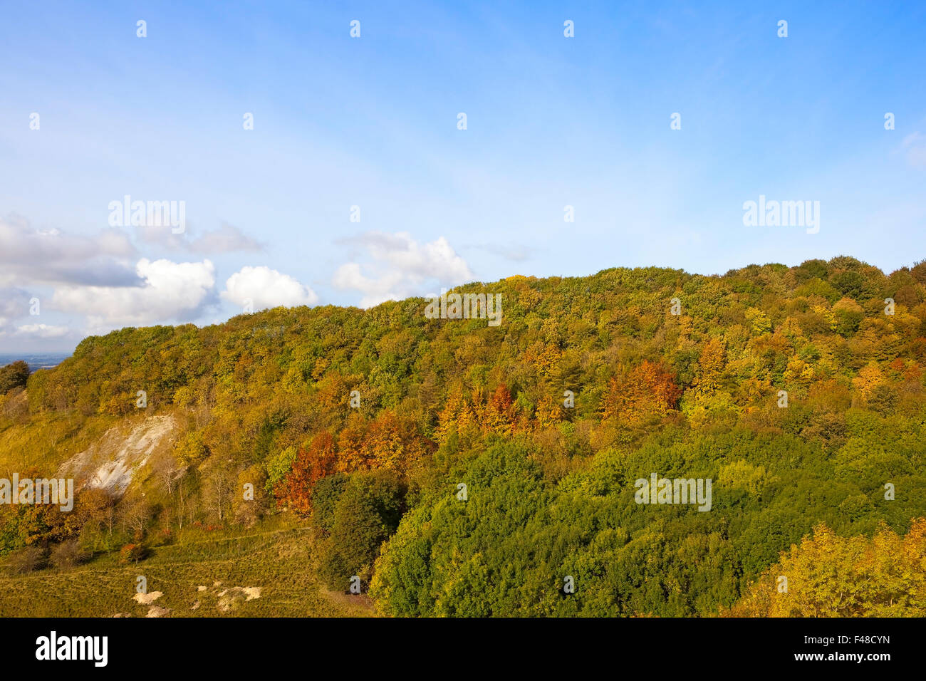 Colorful Autumn trees on the wooded slopes of Thixendale on the ...