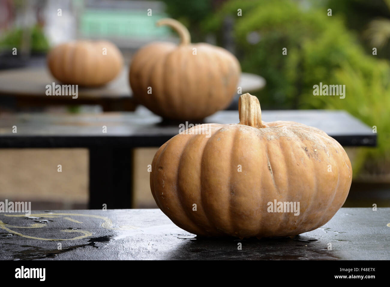 ASIA MYANMAR NYAUNGSHWE PUMPKINS Stock Photo - Alamy