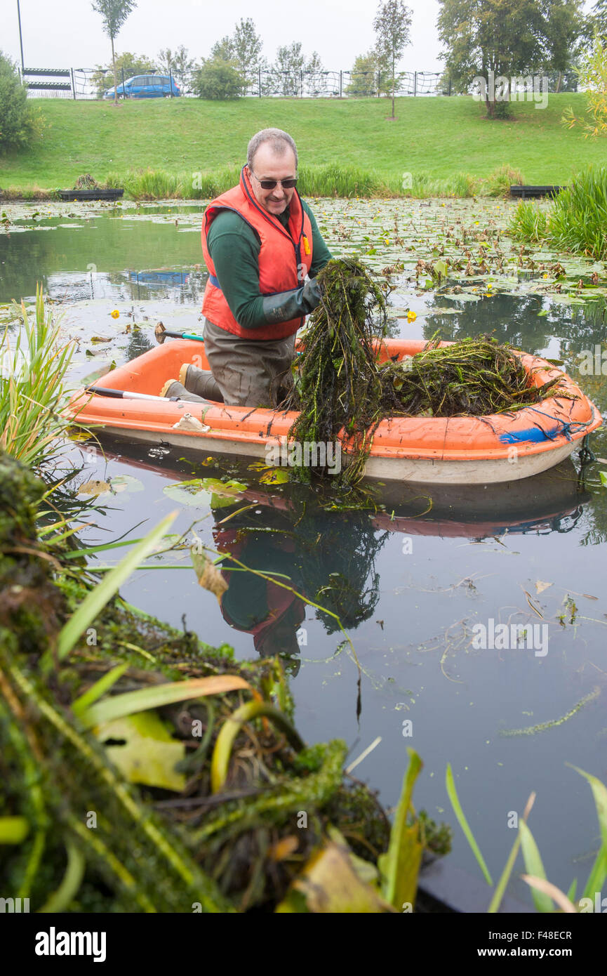Park Ranger Graham Lister clears weed from the community pond at ...