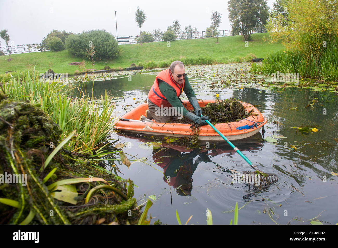 Park Ranger Graham Lister clears weed from the community pond at ...