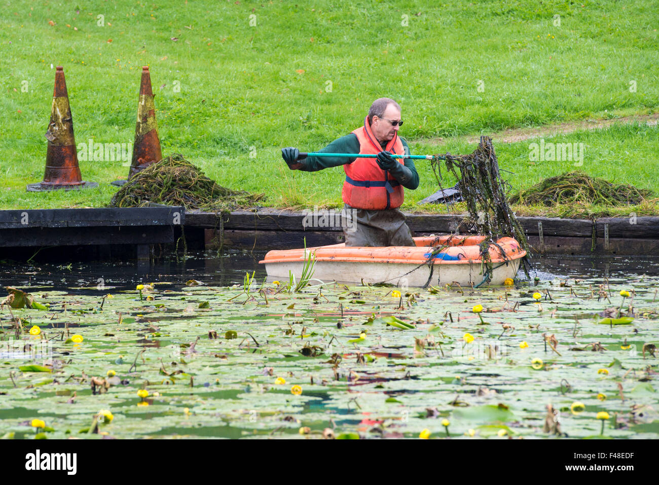 Park Ranger Graham Lister clears weed from the community pond at ...