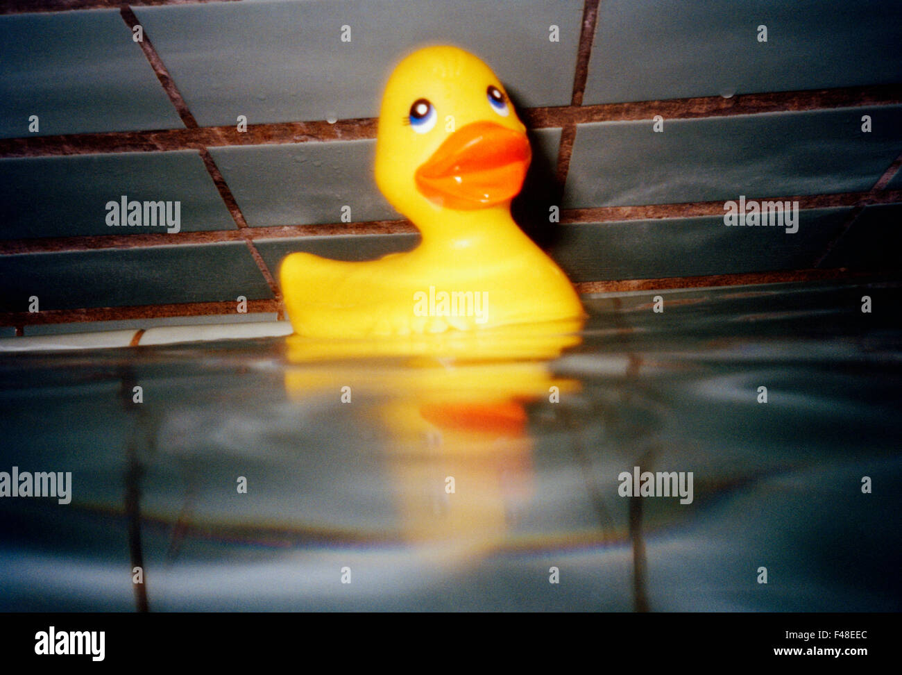 A rubber duck, Sweden Stock Photo - Alamy
