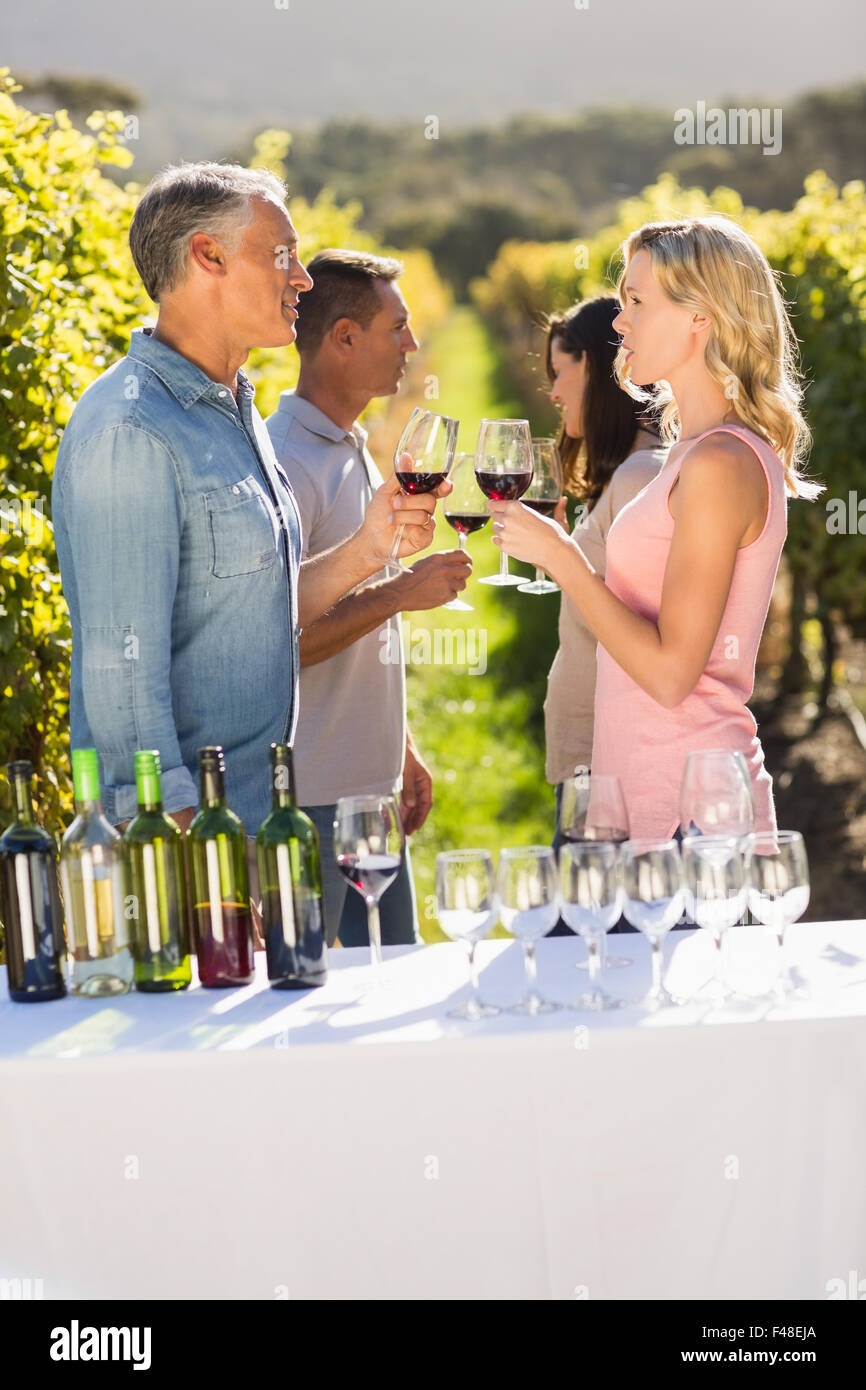 Group talking and drinking wine next to grapevine Stock Photo - Alamy