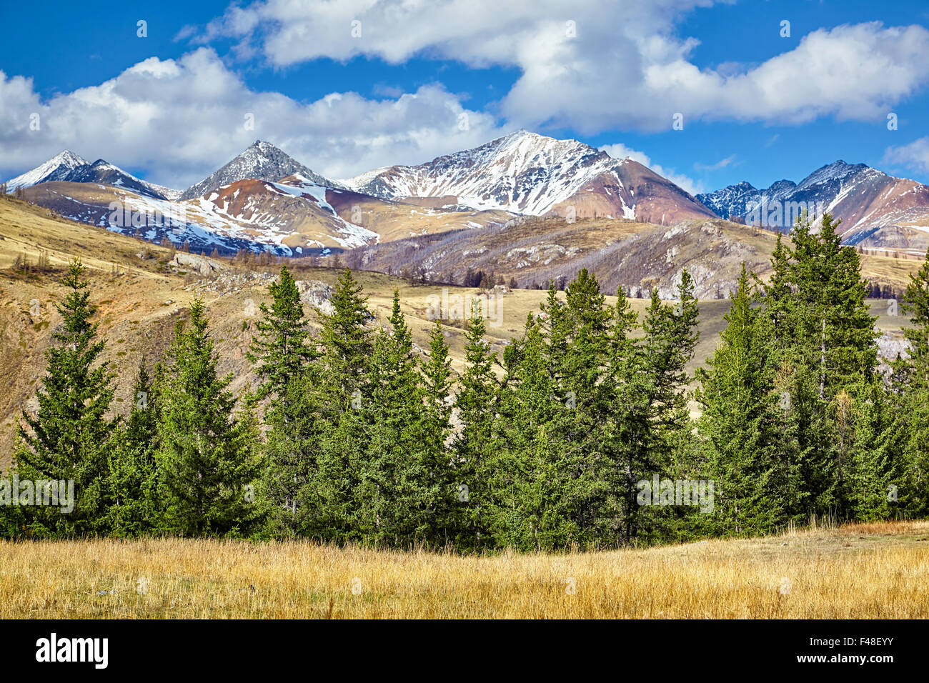 Altay Stock Photos & Altay Stock Images - Alamy