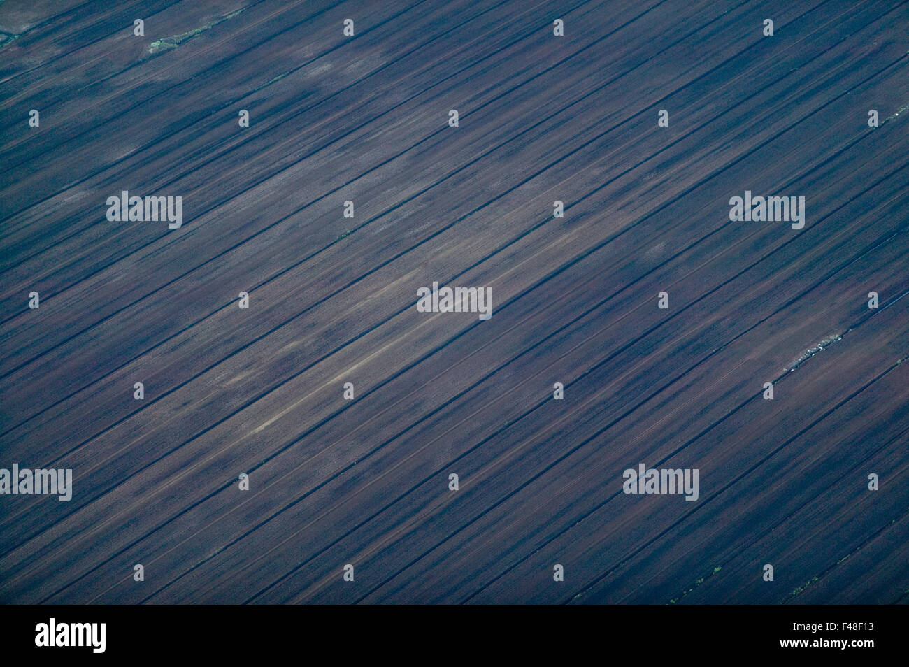 Moss sweden hi-res stock photography and images - Alamy