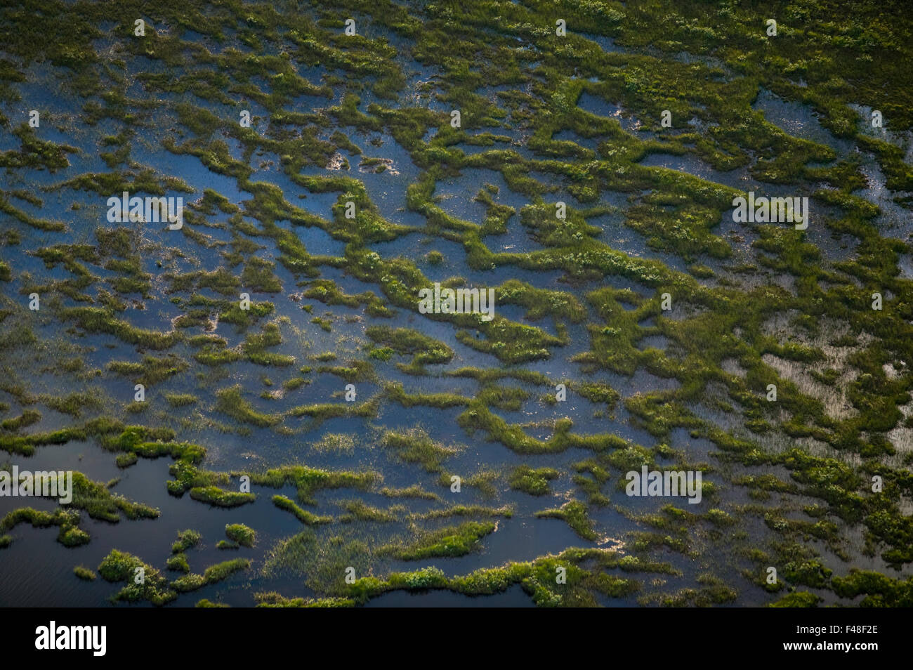 Aerial view over a swamp, Sweden Stock Photo - Alamy