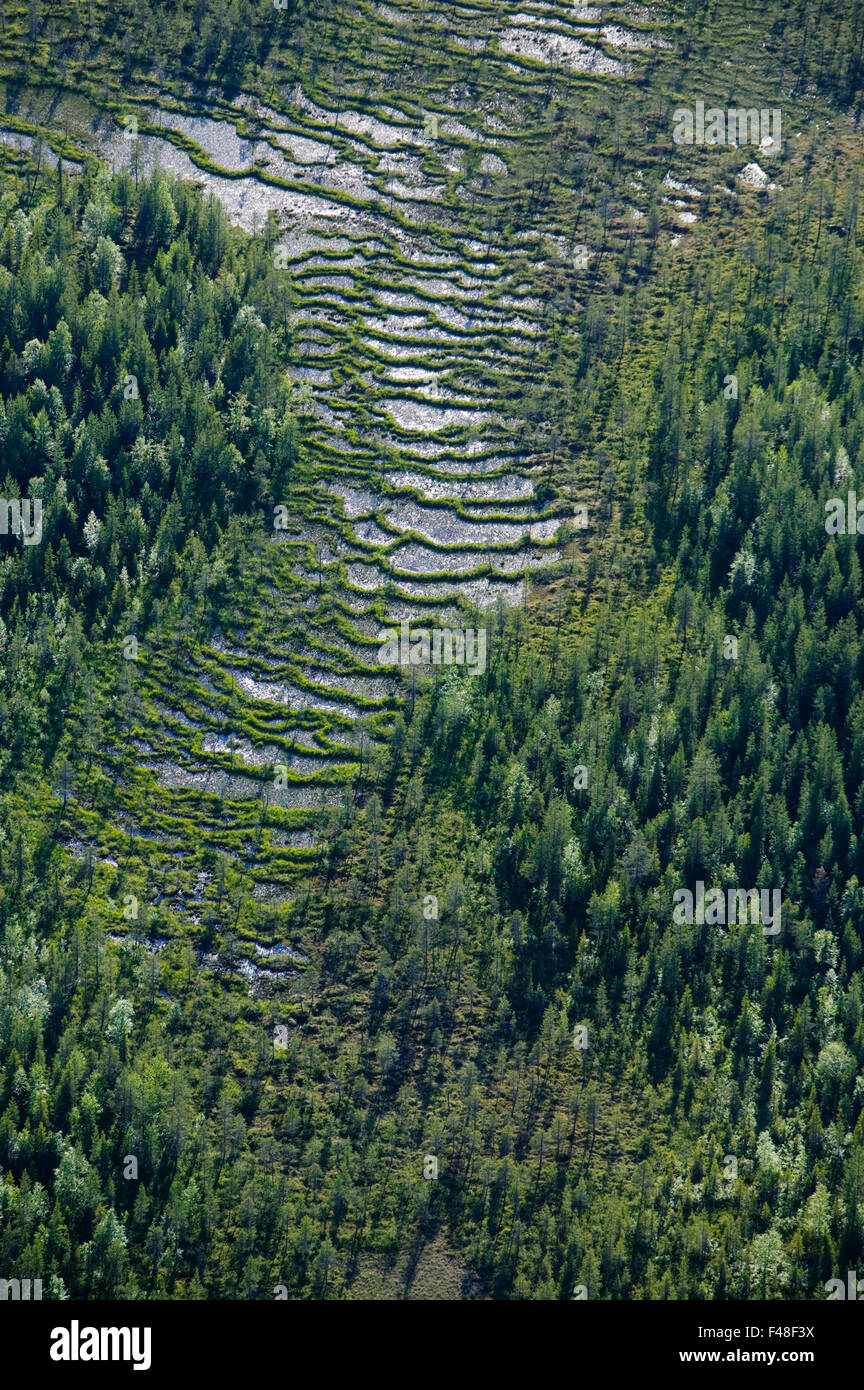 Aerial view of a swamp, Lapland, Sweden Stock Photo - Alamy