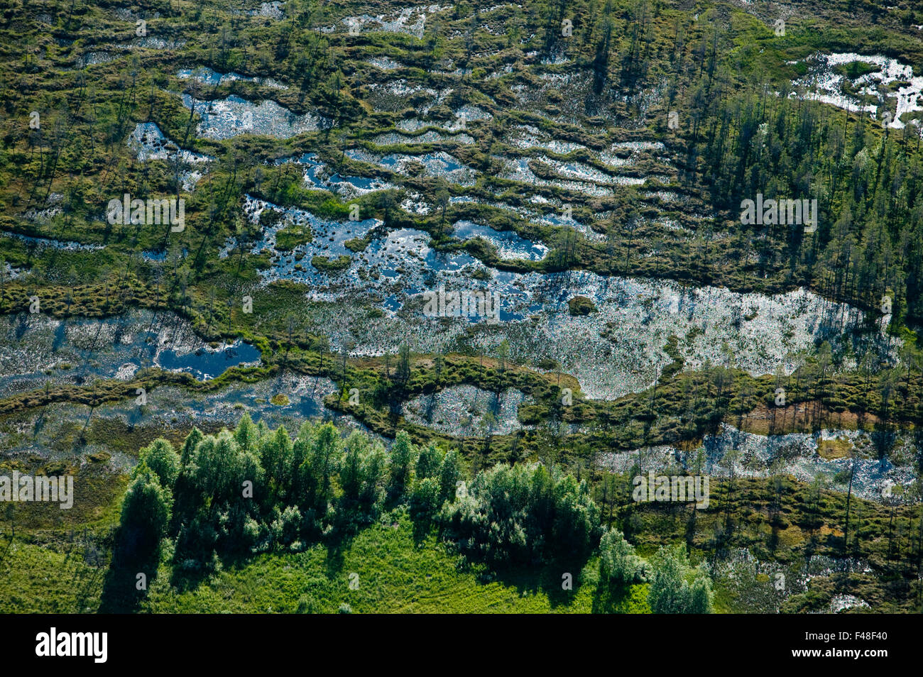 Aerial view of a swamp, Lapland, Sweden Stock Photo - Alamy
